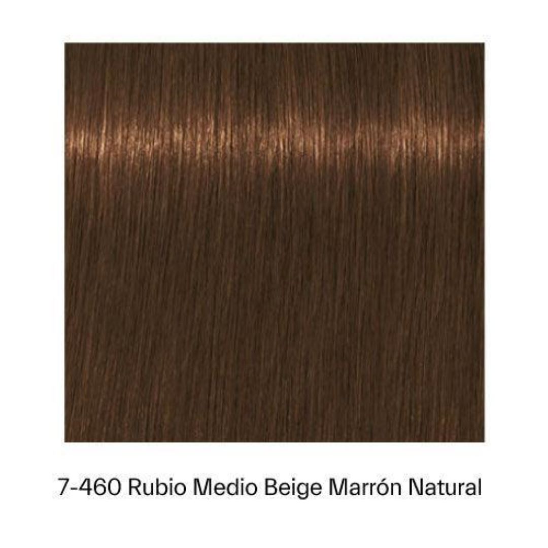 Tintes Igora Absolutes - Alta Cobertura De Canas – Rwar Chile