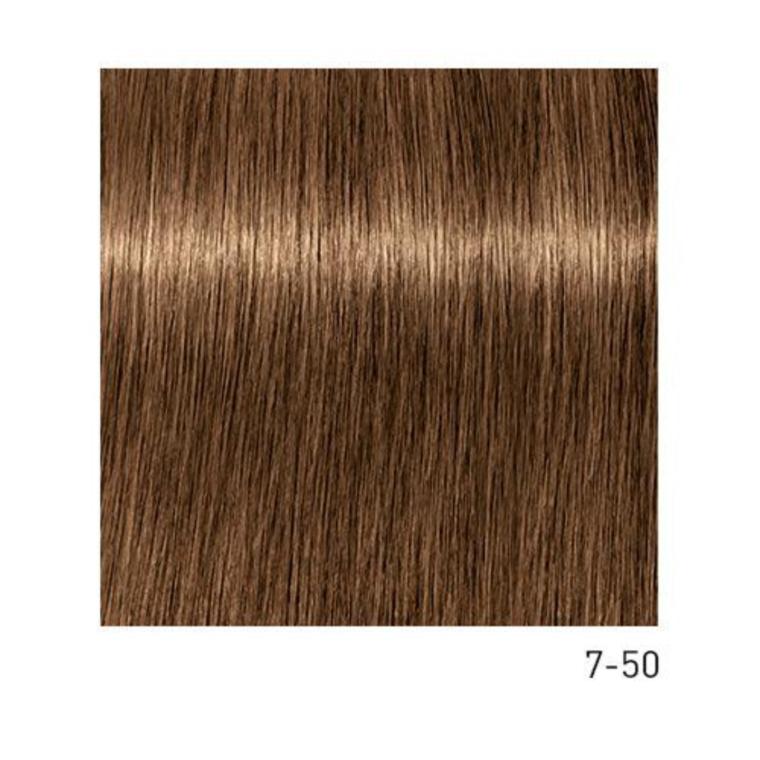 Tintes Igora Absolutes - Alta Cobertura De Canas – Rwar Chile